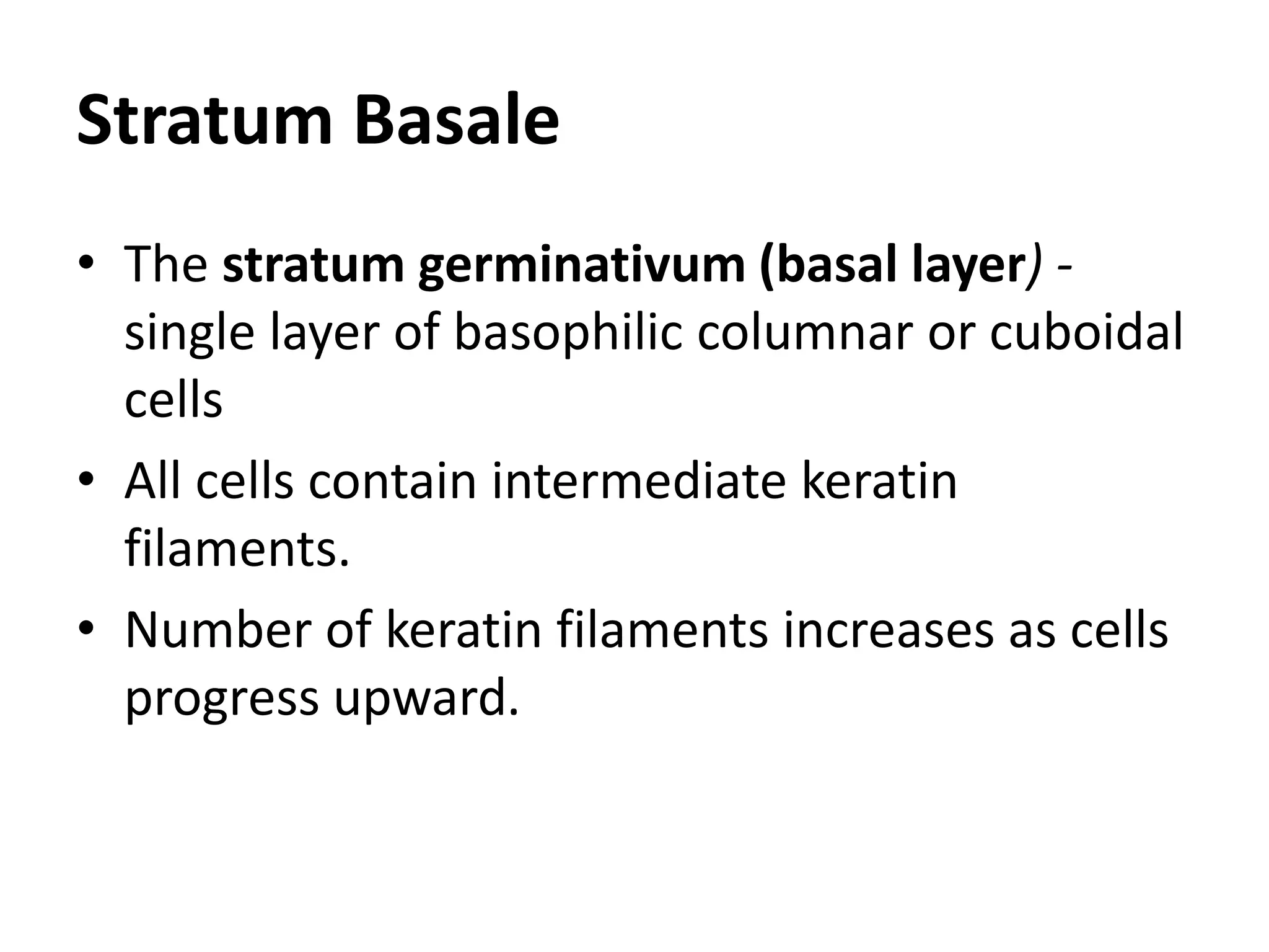 Skin basic structure | PPTX