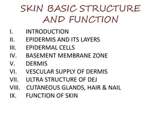 Skin basic structure | PPTX