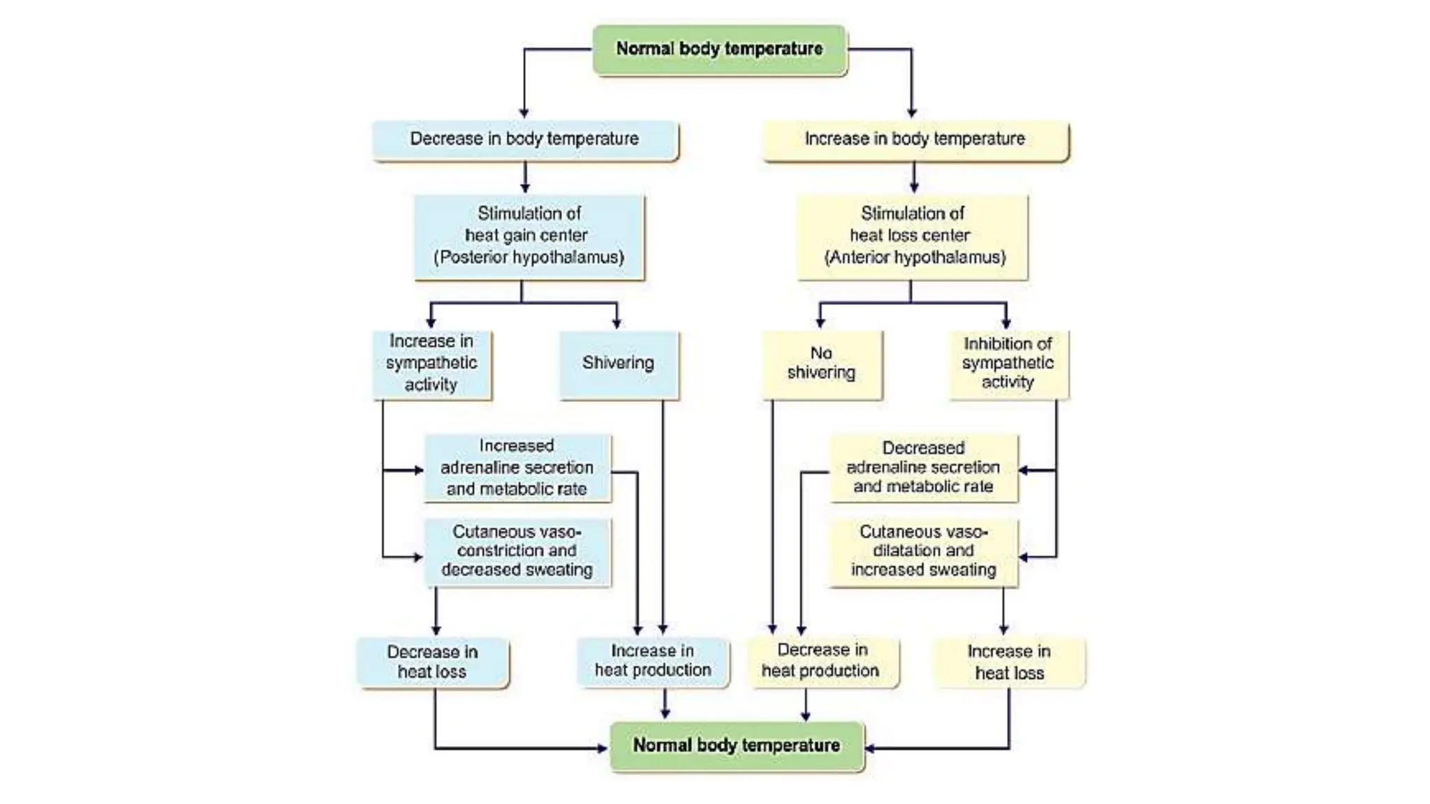 Skin & Body temperature for Nursing.pptx