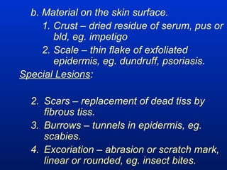 Skin By Dr Paulino | PPT | Skin and Dermatology | Diseases and Conditions