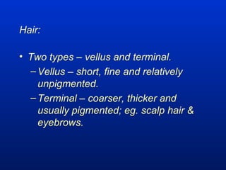 Skin By Dr Paulino | PPT | Skin and Dermatology | Diseases and Conditions