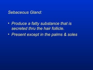 Skin By Dr Paulino | PPT | Skin and Dermatology | Diseases and Conditions