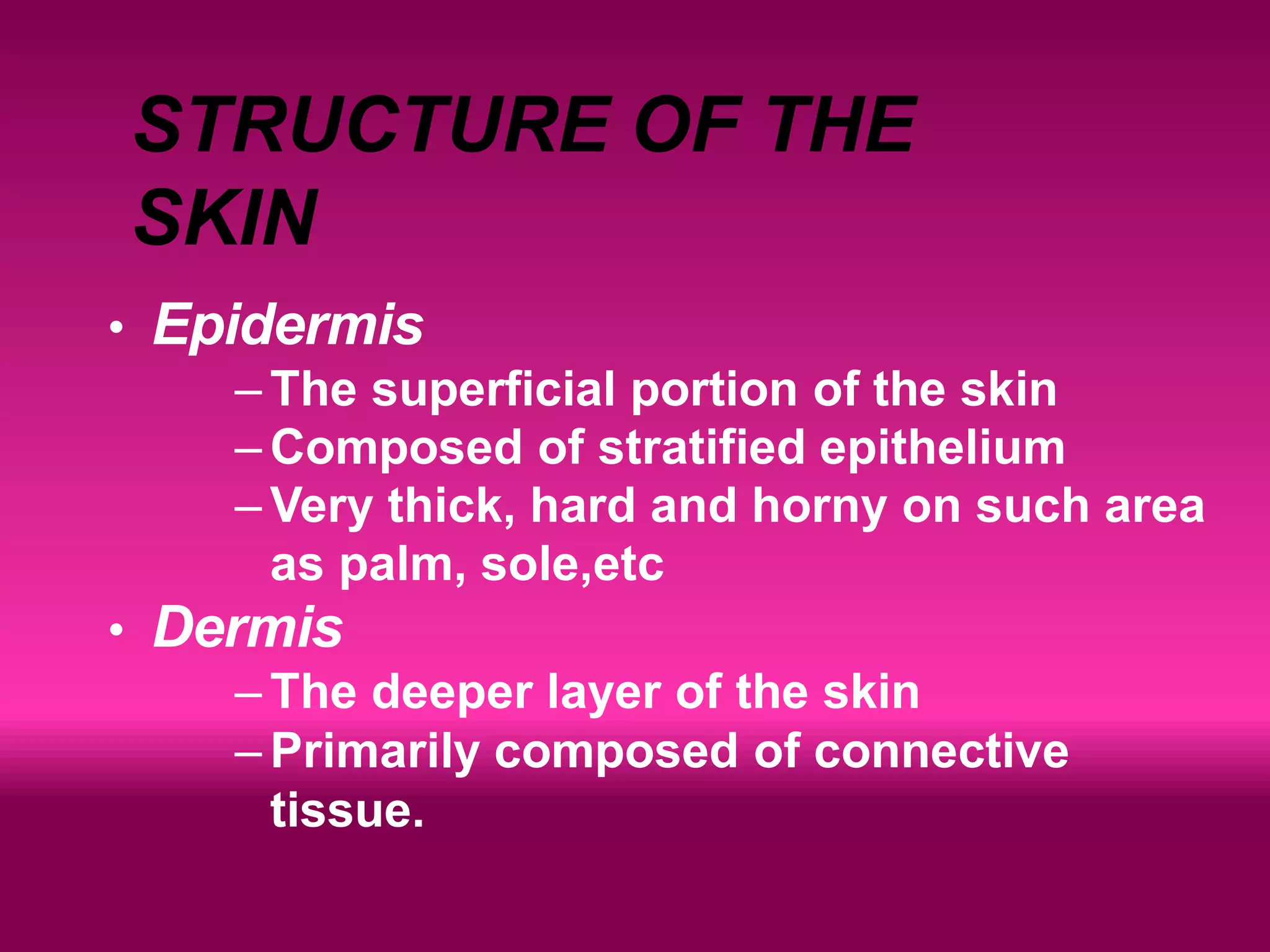 ANATOMY OF THE SKIN | PPTX | Skin and Dermatology | Diseases and Conditions