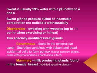 ANATOMY OF THE SKIN | PPTX