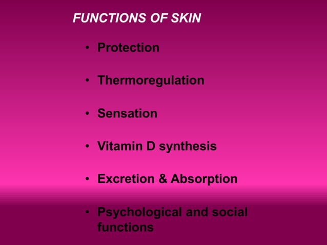 ANATOMY OF THE SKIN | PPT
