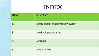 Anatomy and physiology of skin .pptx