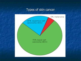Skin Cancer Pie Chart