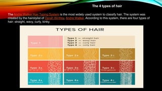 Skincare and haircare detailed guidelines | PDF