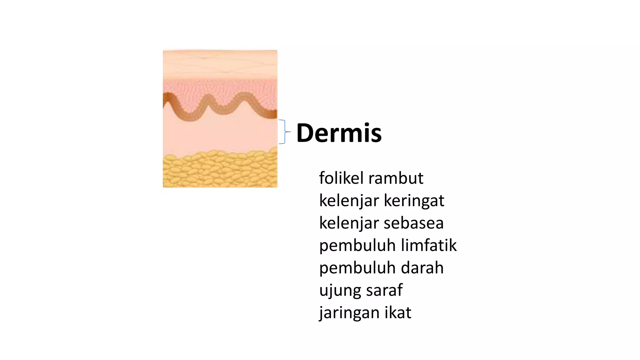 Skin & Chemical Peeling.pptx | Skin and Dermatology | Diseases and ...