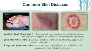 Skin Anatomy & Derson, Derson-CL. ppt | PPTX