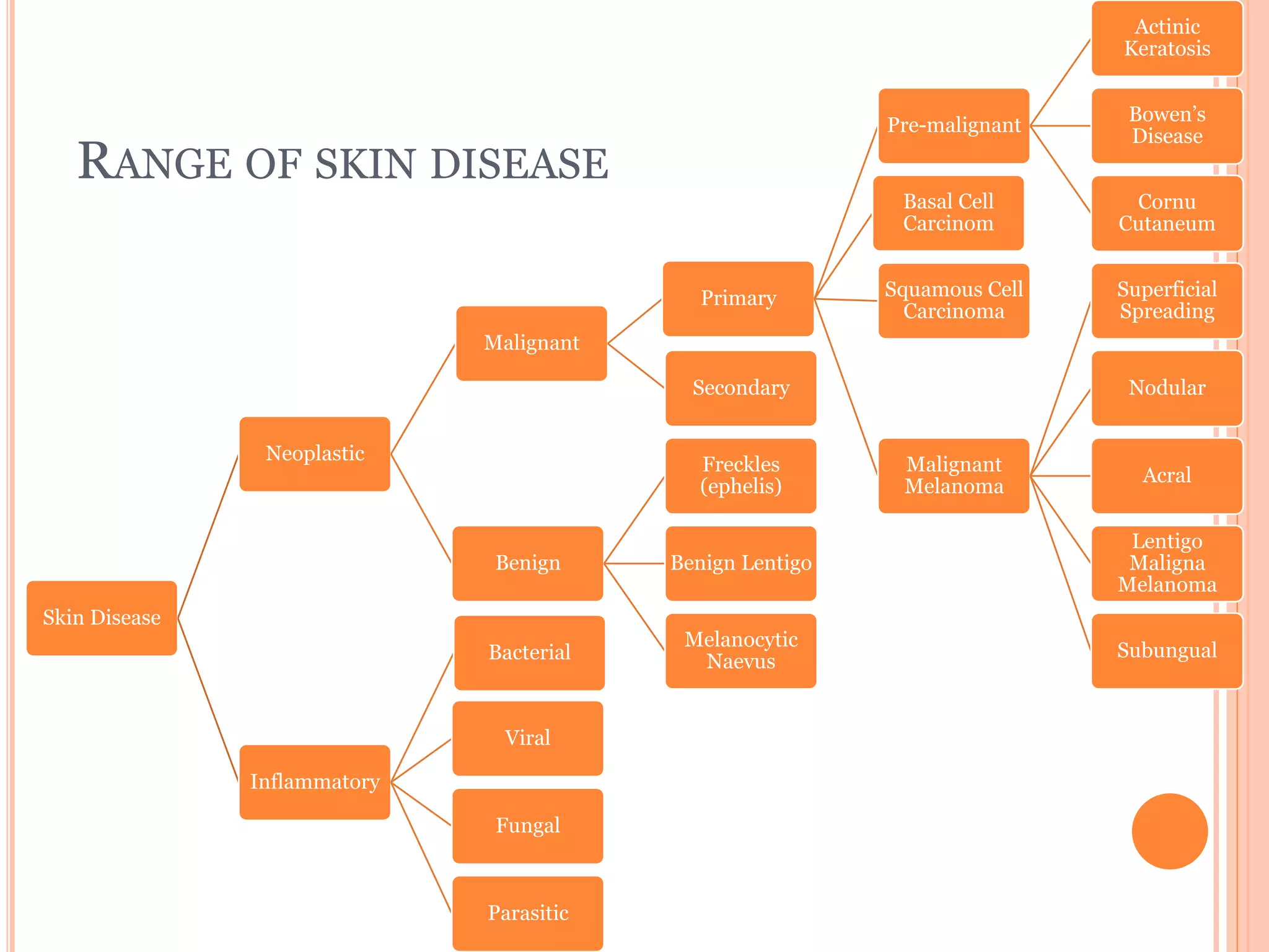 Skin disease brief overview | PPTX