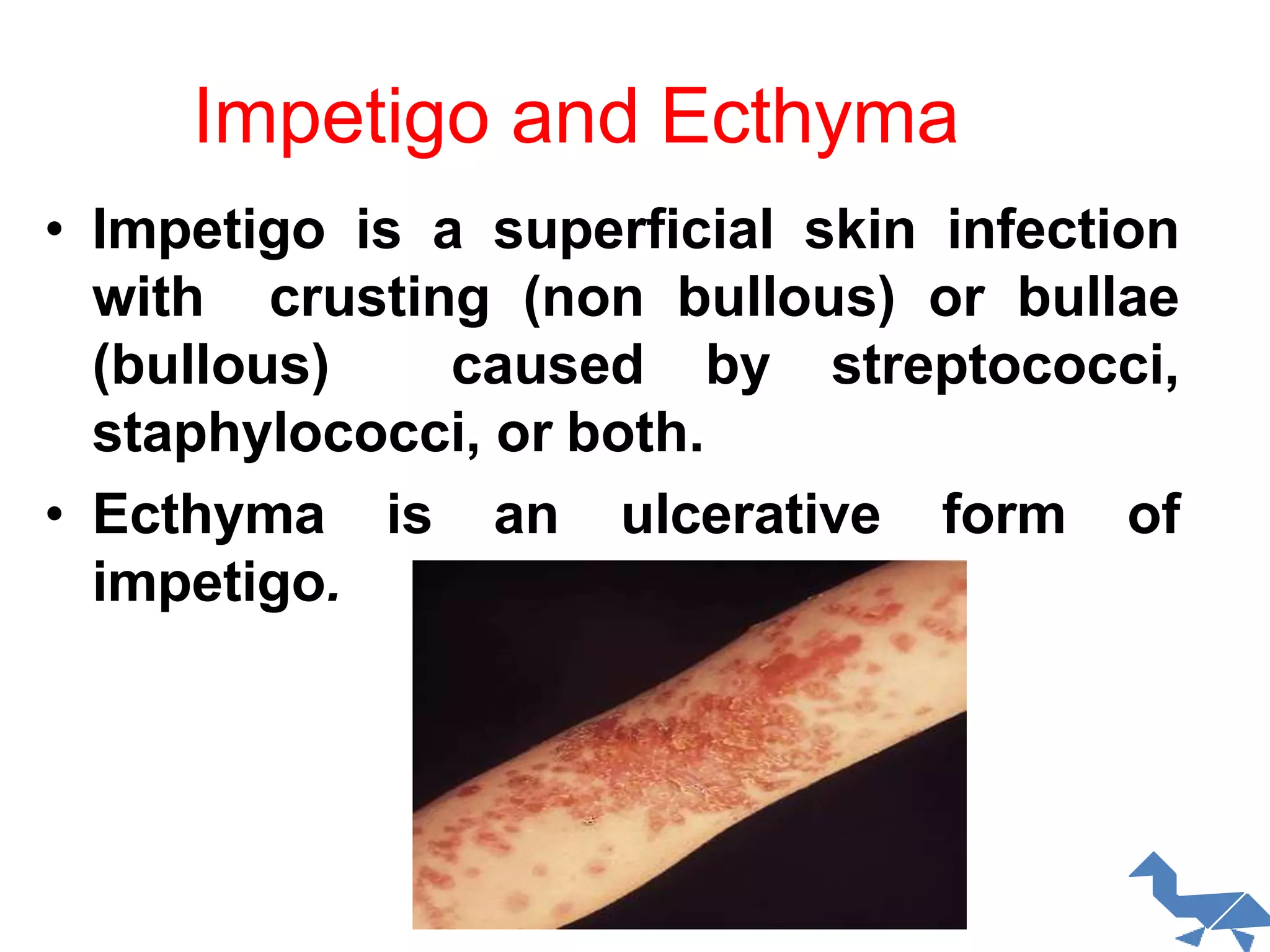 Skin disease ppt for nursing student | PPTX