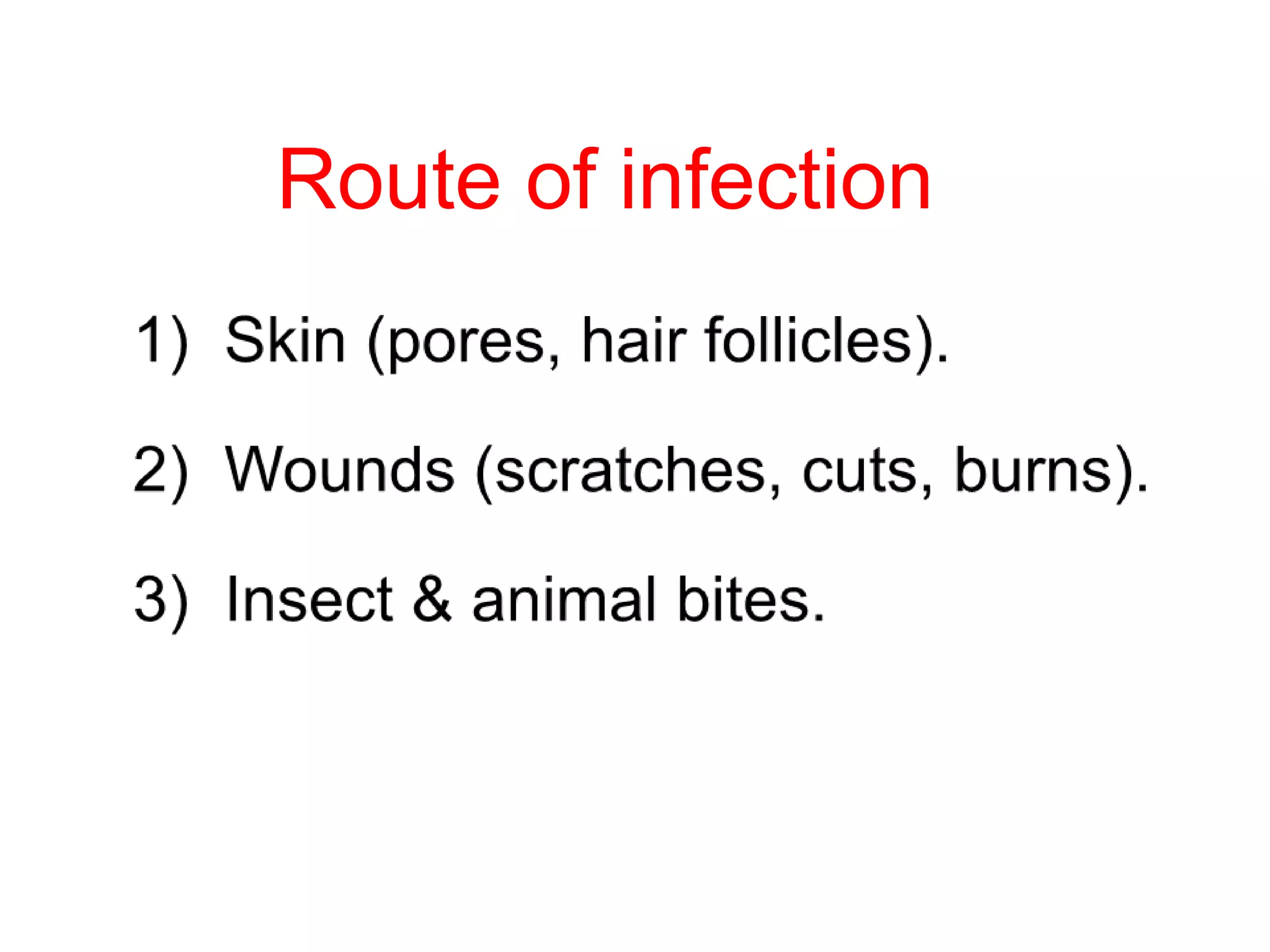 Skin disease ppt for nursing student | PPTX