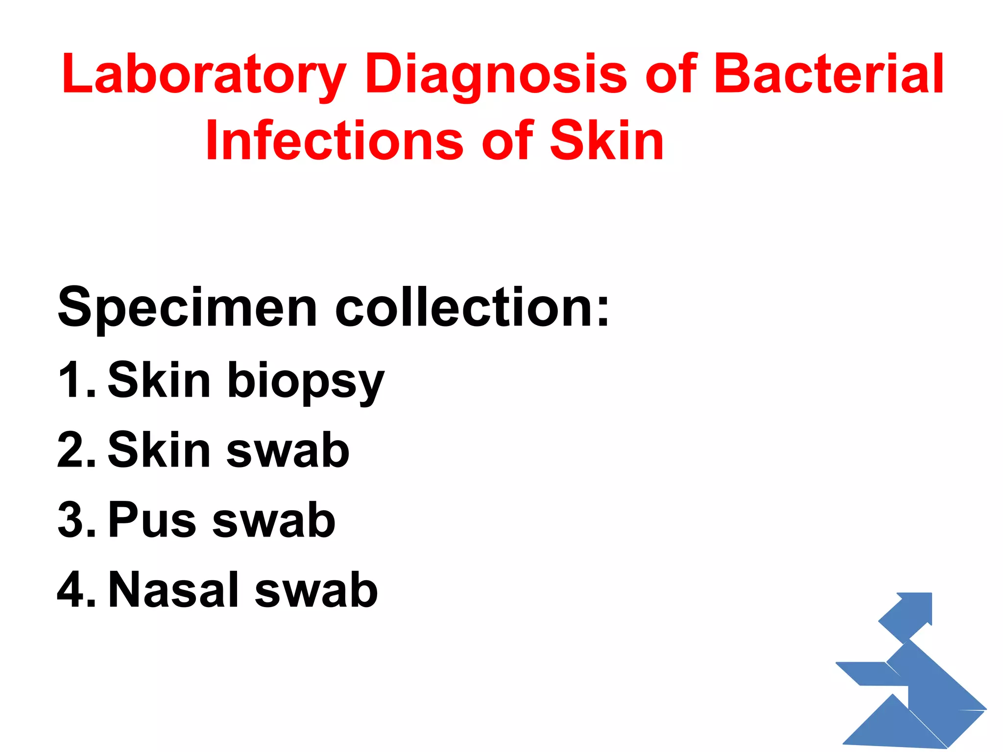 Skin disease ppt for nursing student | PPTX