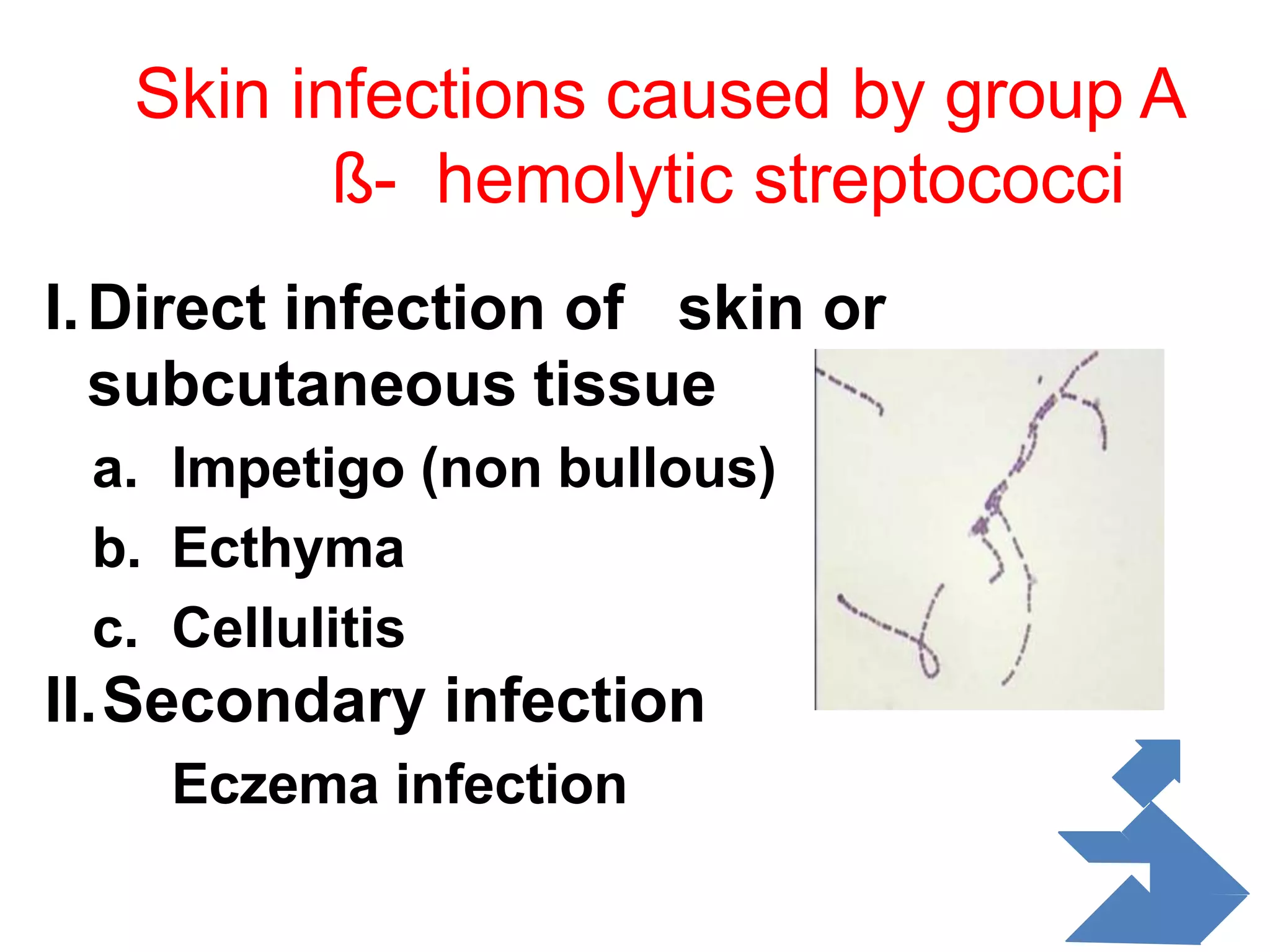 Skin disease ppt for nursing student | PPTX
