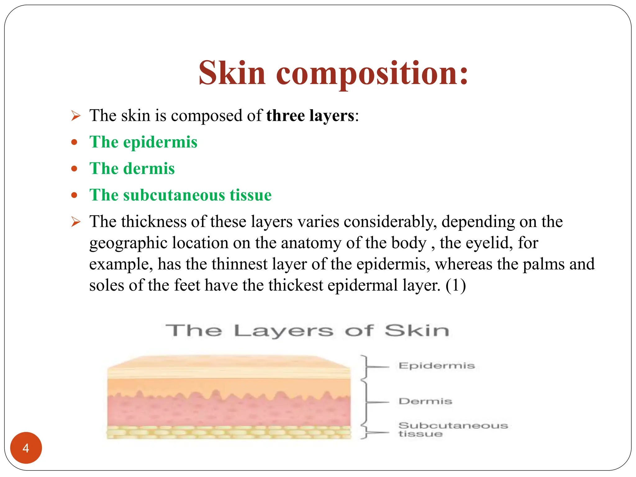 skin diseases.pptx