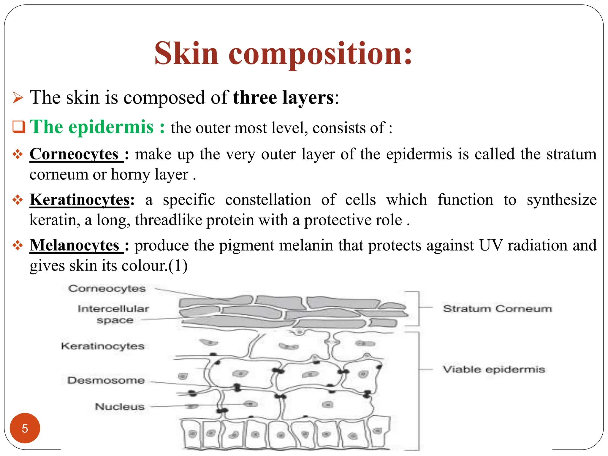 skin diseases.pptx