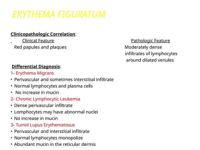 Common entities of dermatopathology of human | PPTX