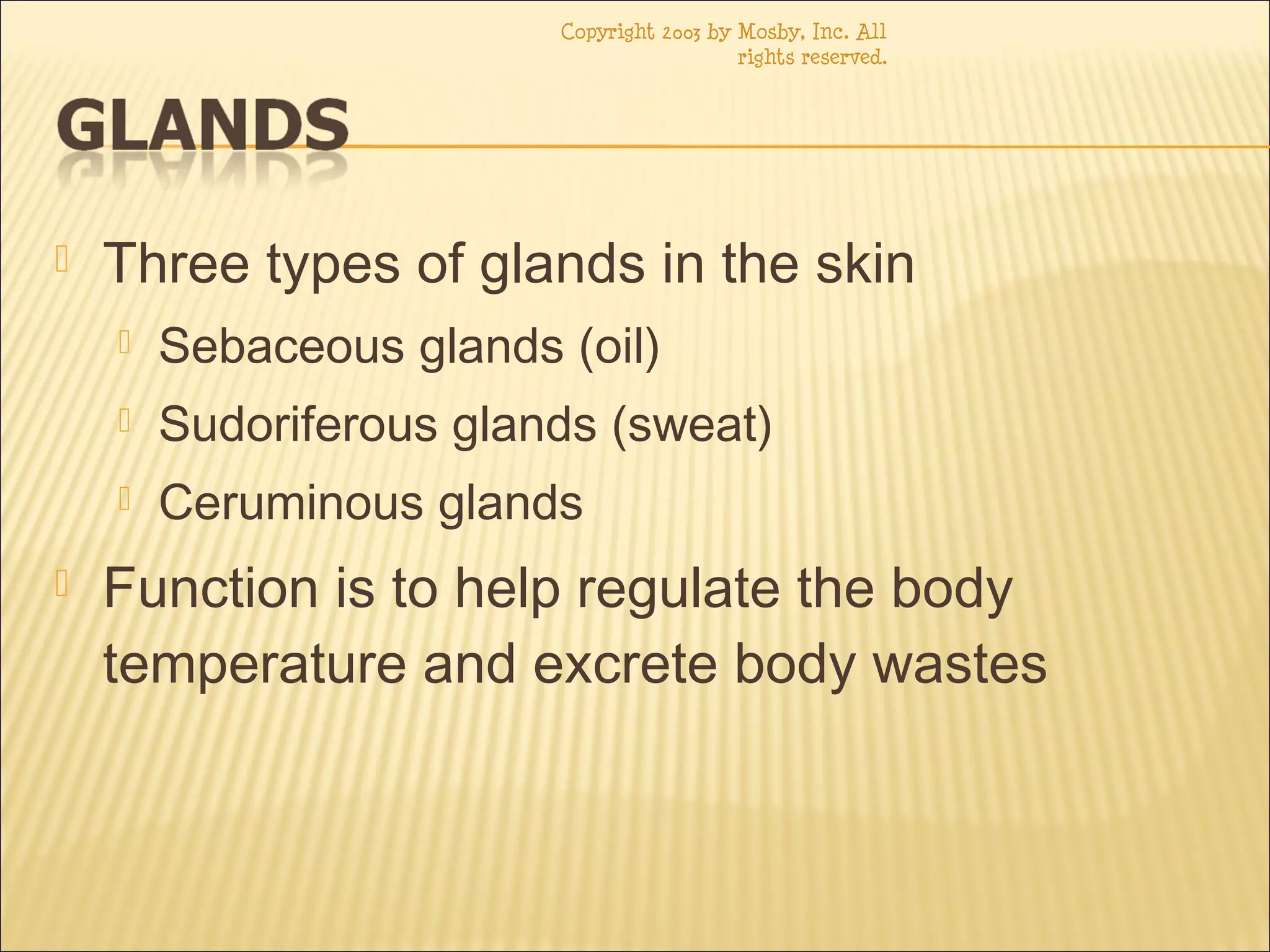 Skin diseases disorders conditions | PPT