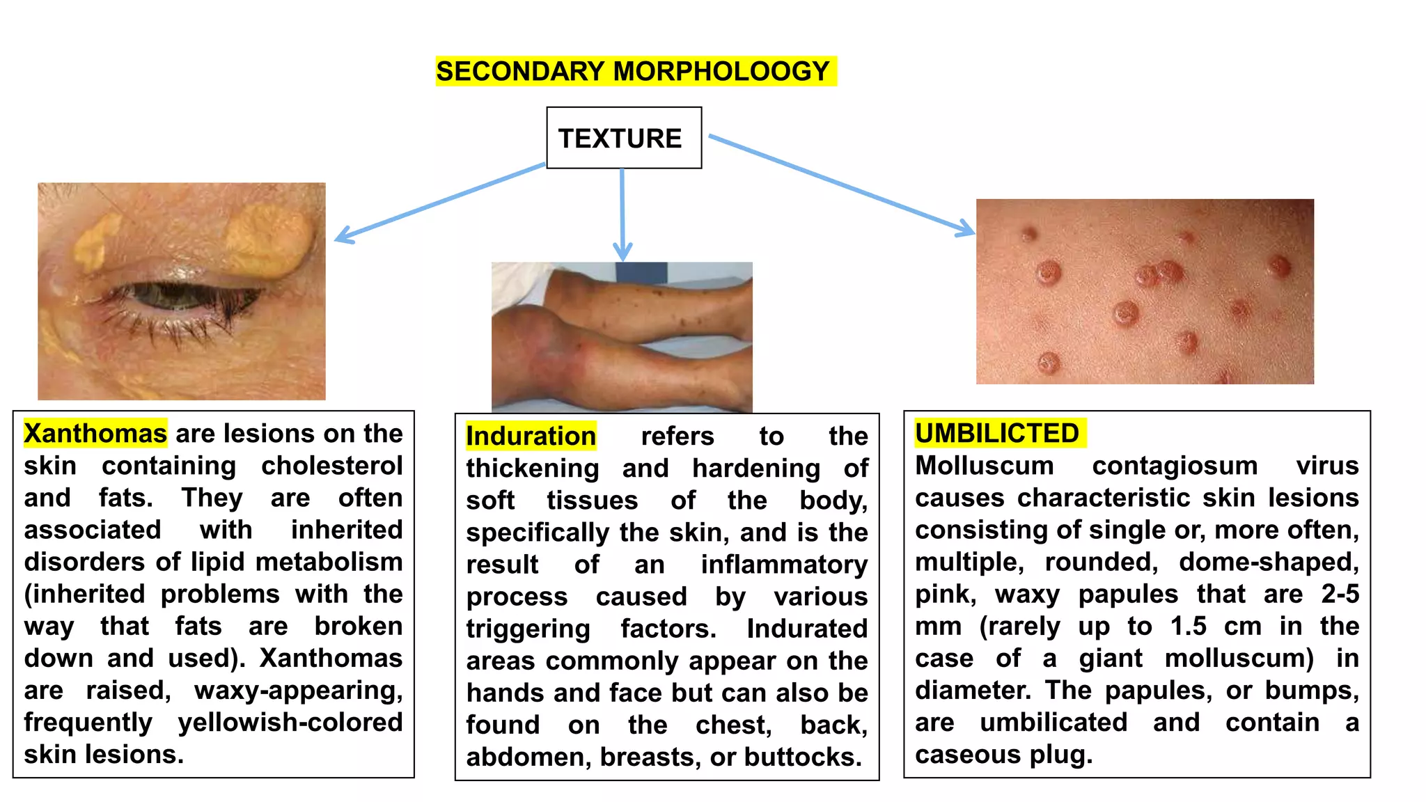 SKIN DISEASES LECTURE.pptx