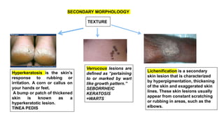 SKIN DISEASES LECTURE.pptx