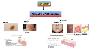 SKIN DISEASES LECTURE.pptx