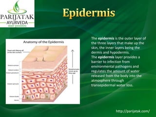 Skin disorder | PPTX