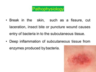 REVIEW OF SKIN DISORDER | PPTX