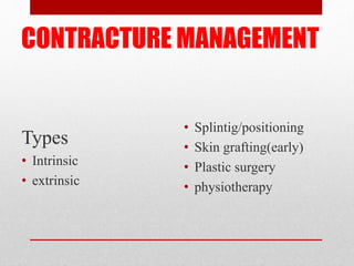 Skin disorders-wound healing | PPTX | Skin and Dermatology | Diseases ...