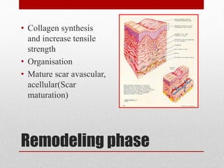 Skin disorders-wound healing | PPTX