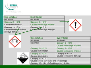 Skin eye irritation | PPTX