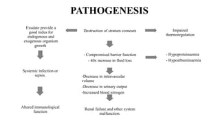 acute skin failure and its management in details .pptx