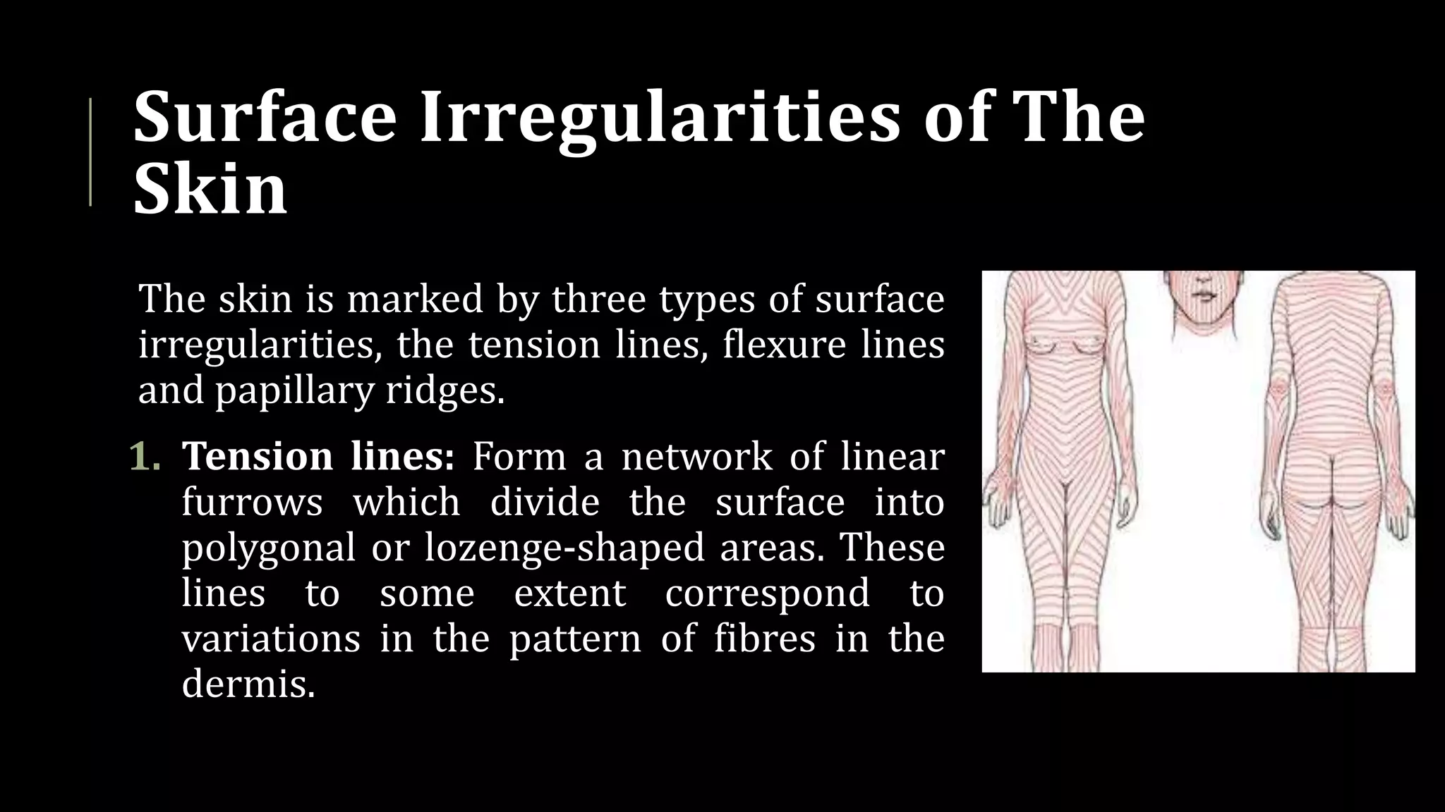 Skin and fascia | PPTX