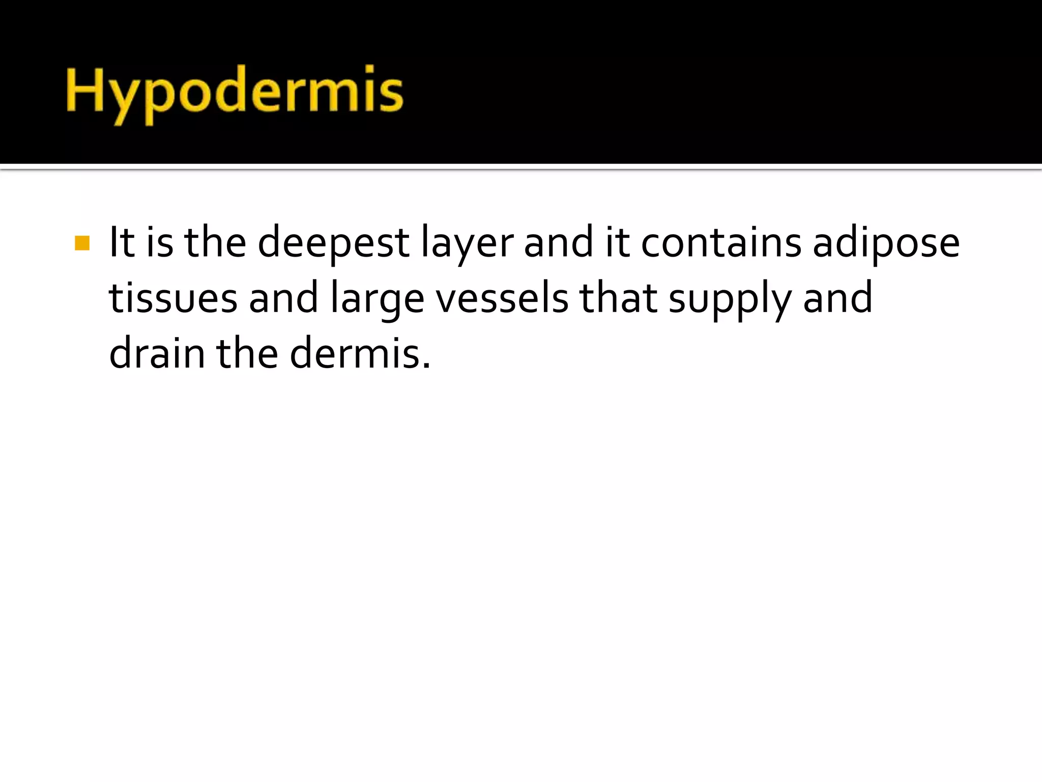 General anatomy of SKIN &FASCIA.pptx