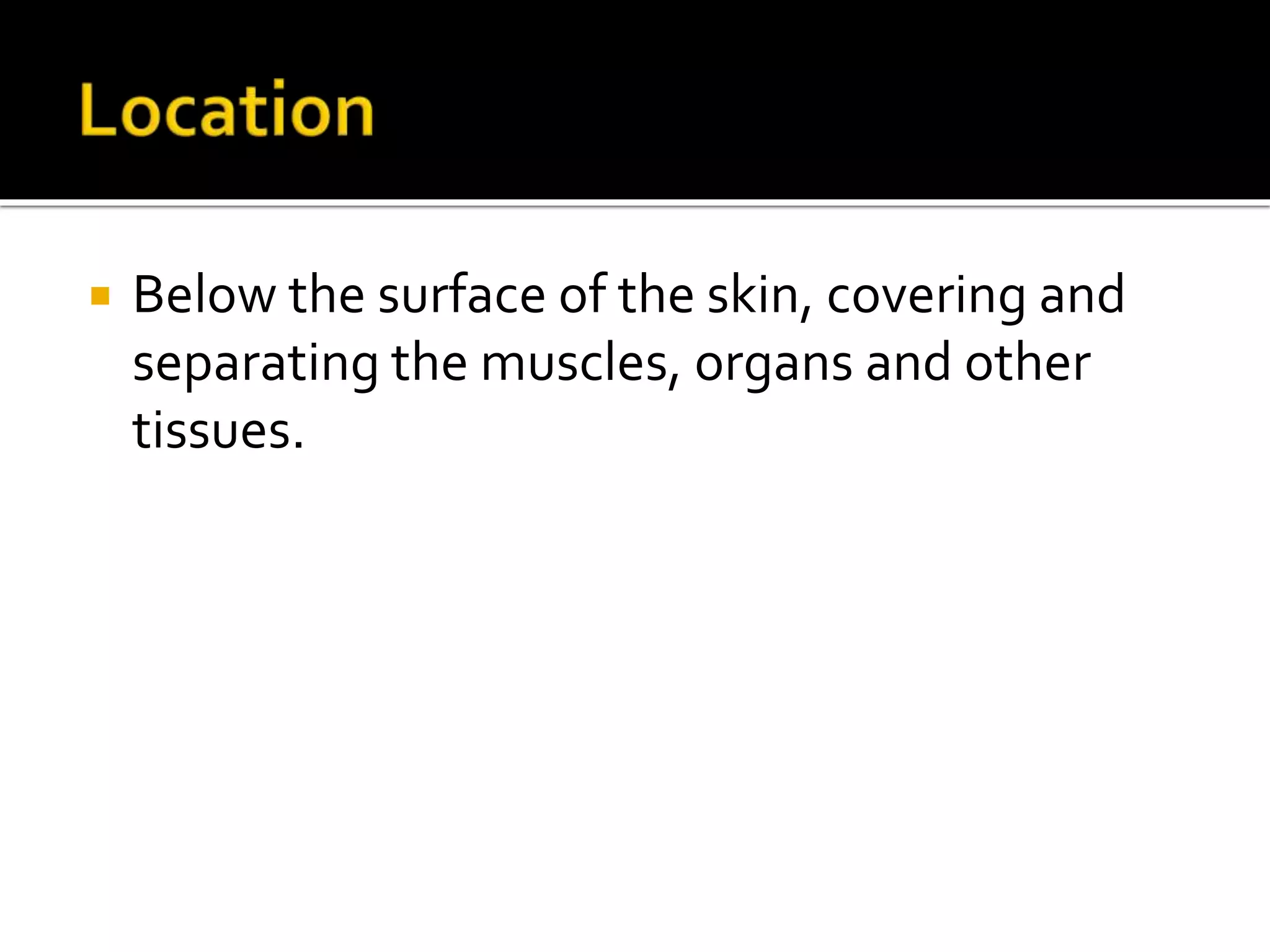 General anatomy of SKIN &FASCIA.pptx