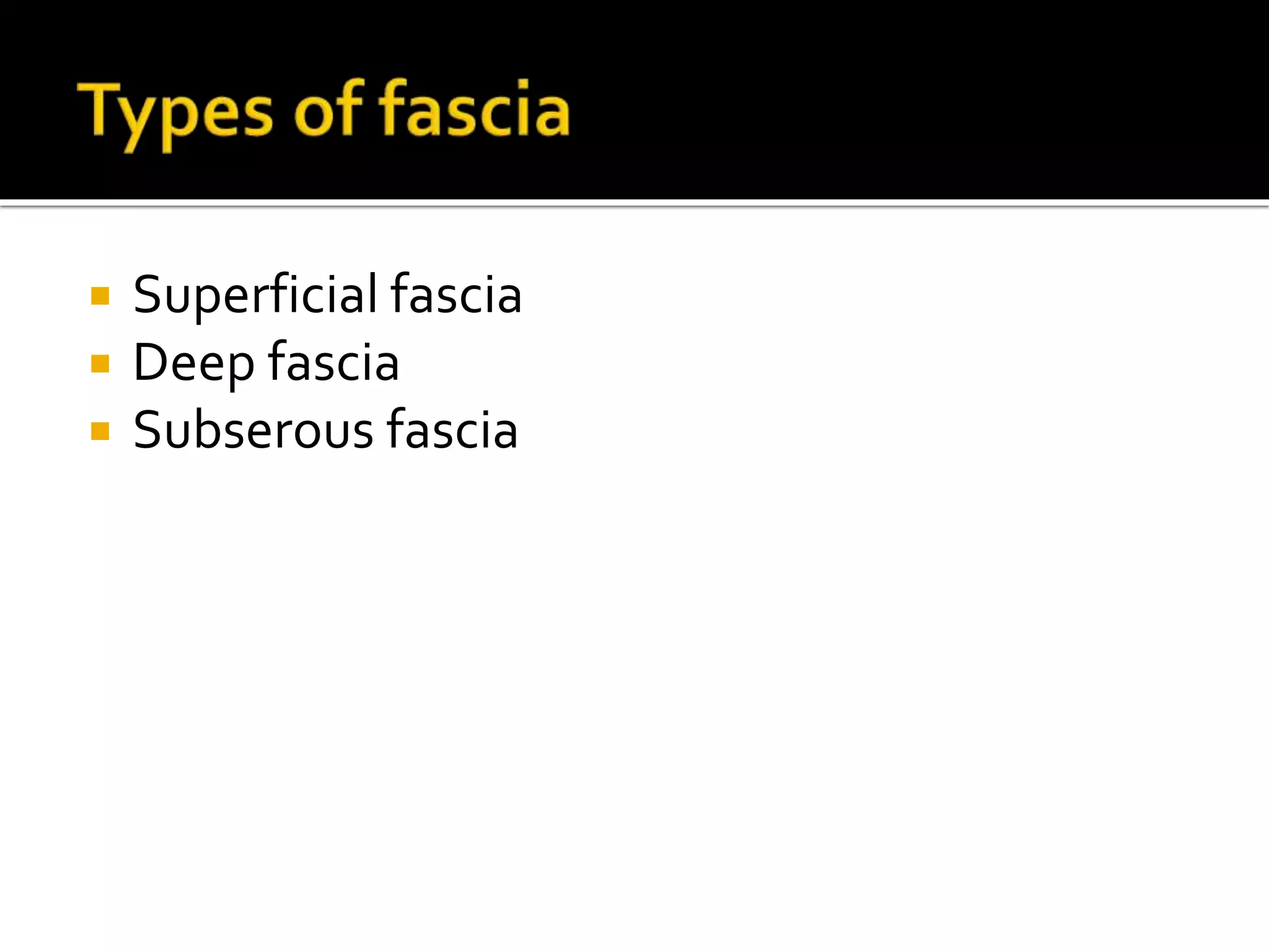 General anatomy of SKIN &FASCIA.pptx