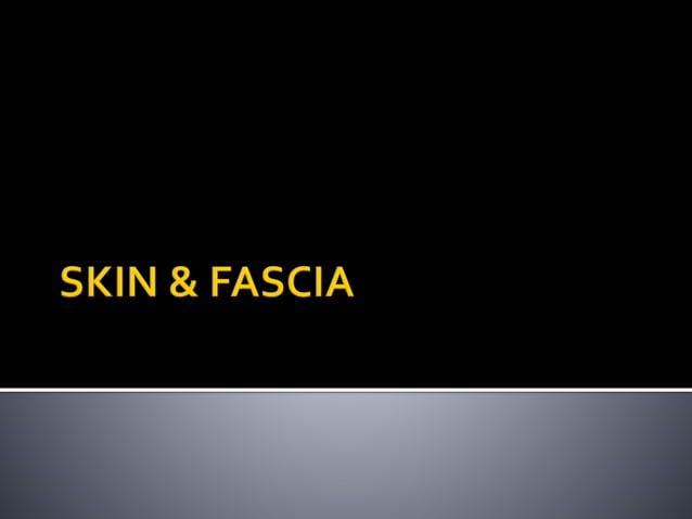 General anatomy of SKIN &FASCIA.pptx | Skin and Dermatology | Diseases ...