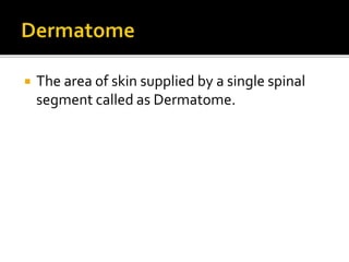 General anatomy of SKIN &FASCIA.pptx