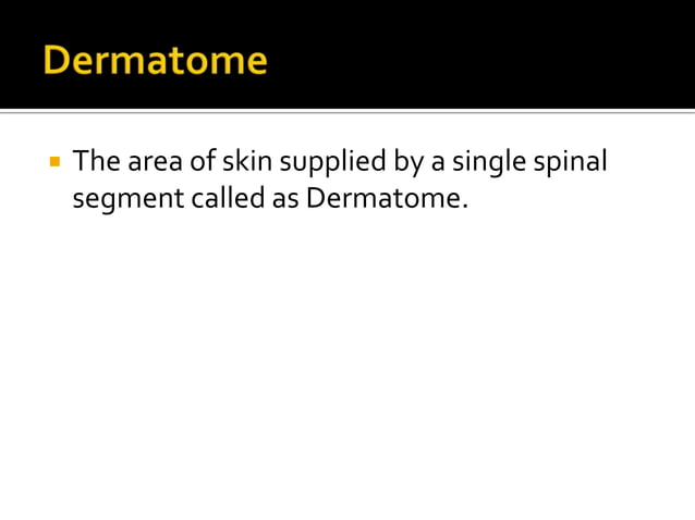 General anatomy of SKIN &FASCIA.pptx | Skin and Dermatology | Diseases ...