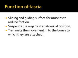 General anatomy of SKIN &FASCIA.pptx