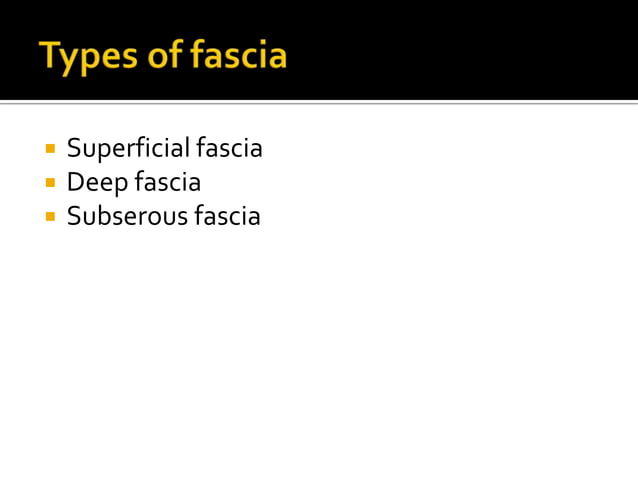 General anatomy of SKIN &FASCIA.pptx | Skin and Dermatology | Diseases ...