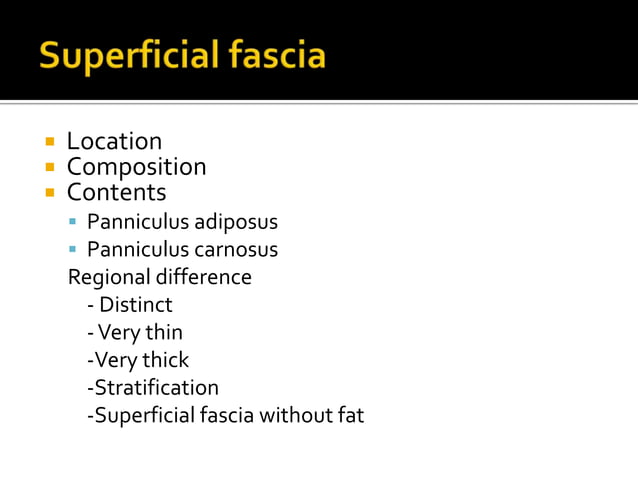 General anatomy of SKIN &FASCIA.pptx | Skin and Dermatology | Diseases ...