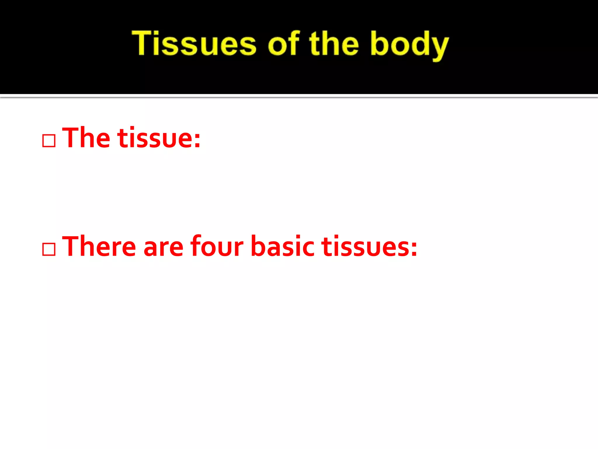 skin_&_fascia.ppt