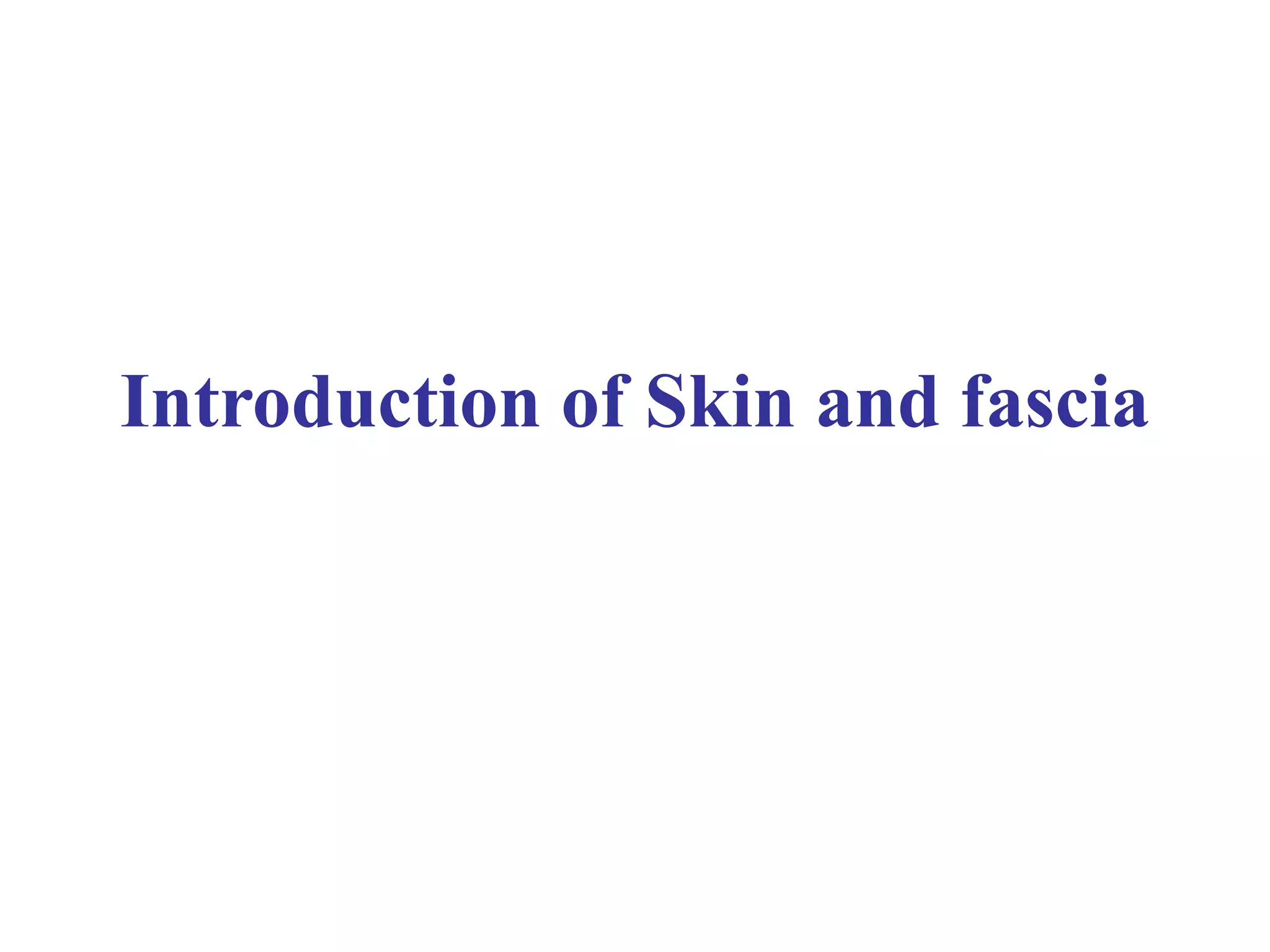 skin fascia.ppt