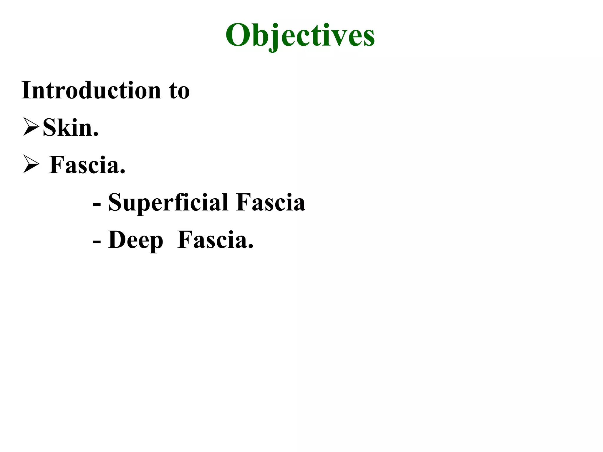 skin fascia.ppt