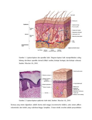 Skin graft and Flap | DOCX