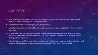 Skin flaps | PPTX