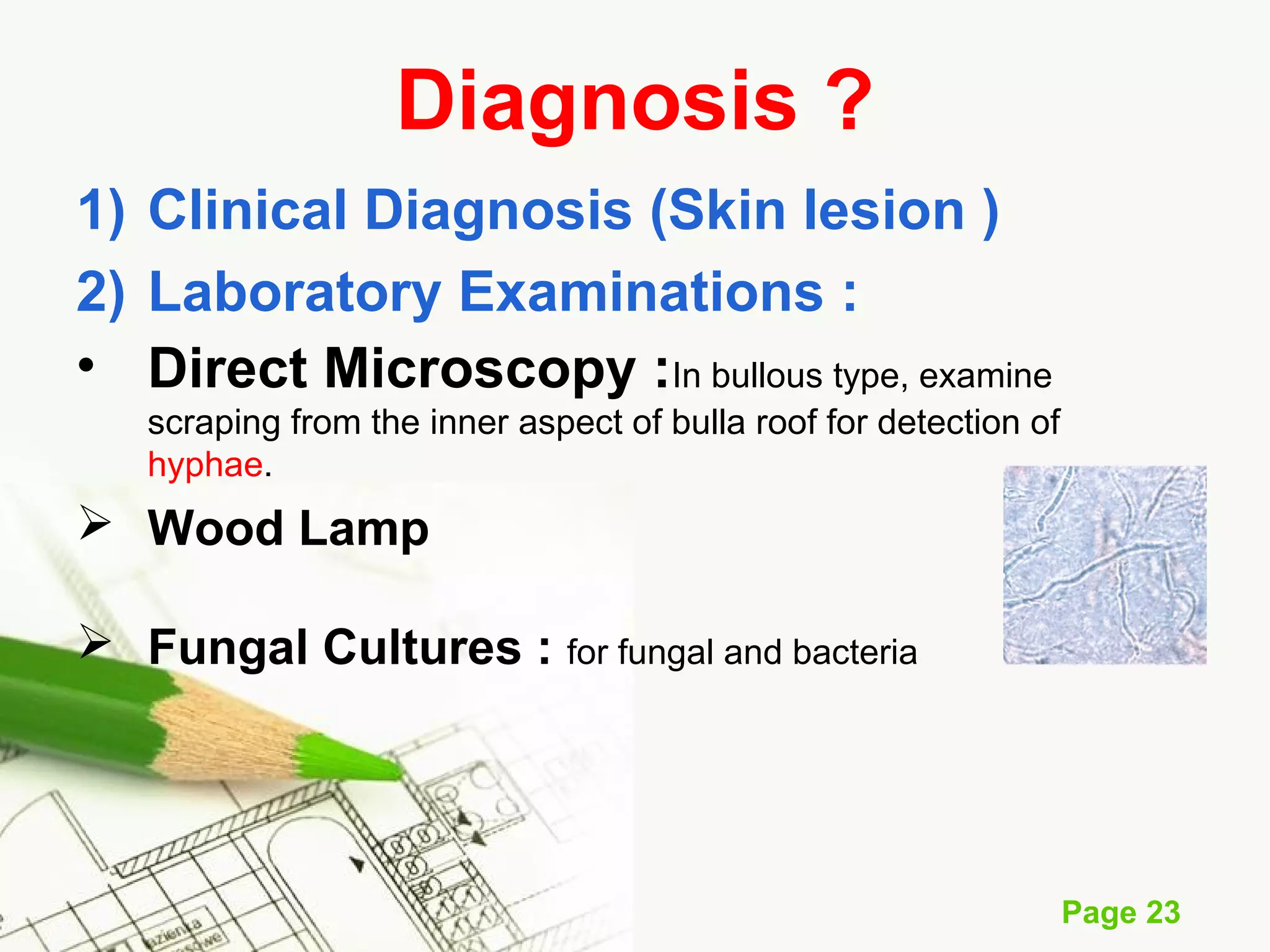 Skin fungal infection | PPT