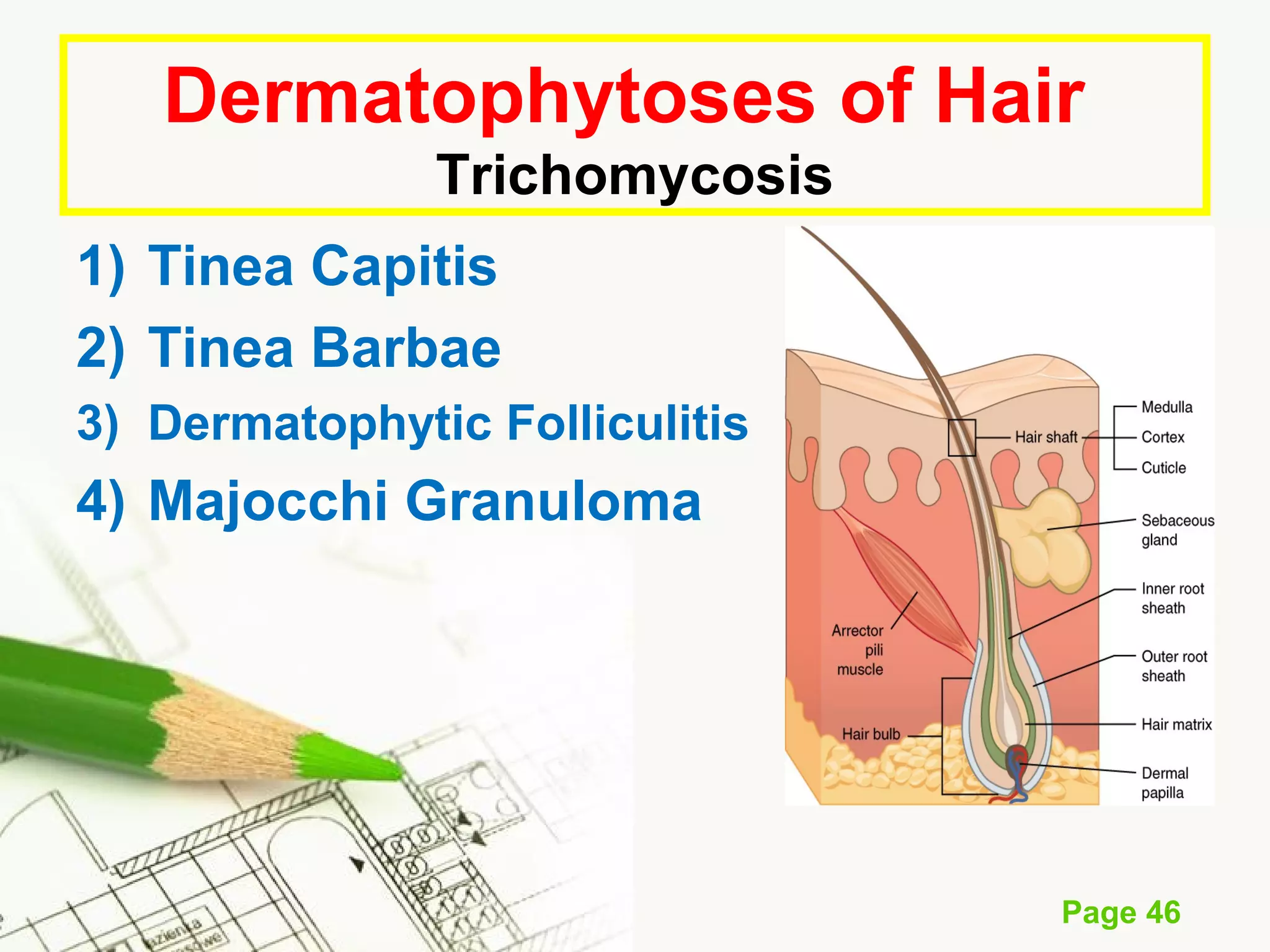 Skin fungal infection | PPT