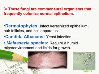 Skin fungal infection | PPT